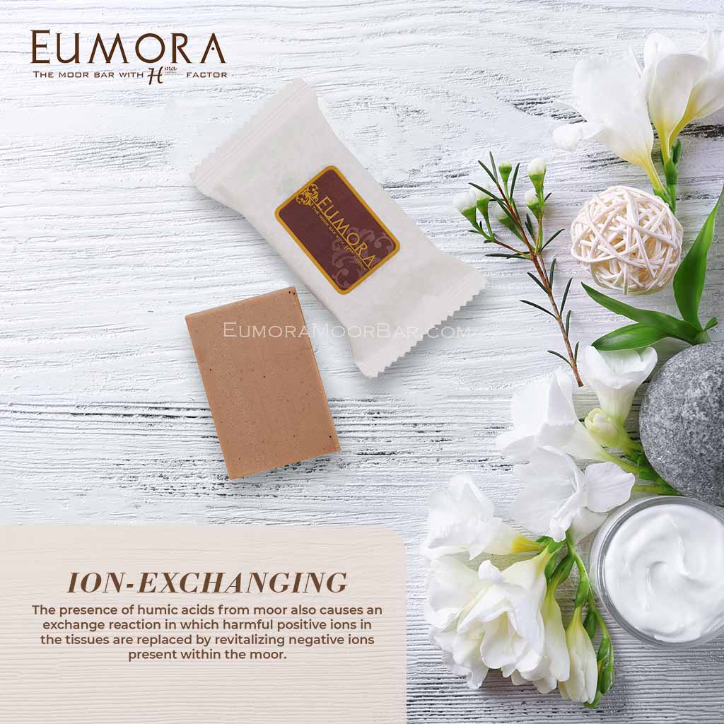 Buy Soap | Eumora Moor Bar